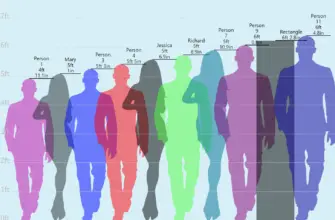 Height Comparison Chart: An Online Tool